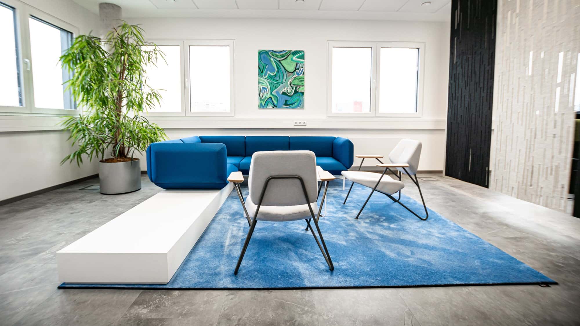 robert obermeyer consulting GmbH